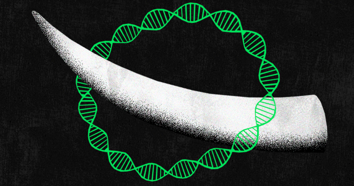 Scientists Are Using Elephant DNA to Expose Poaching Networks | The Swaddle