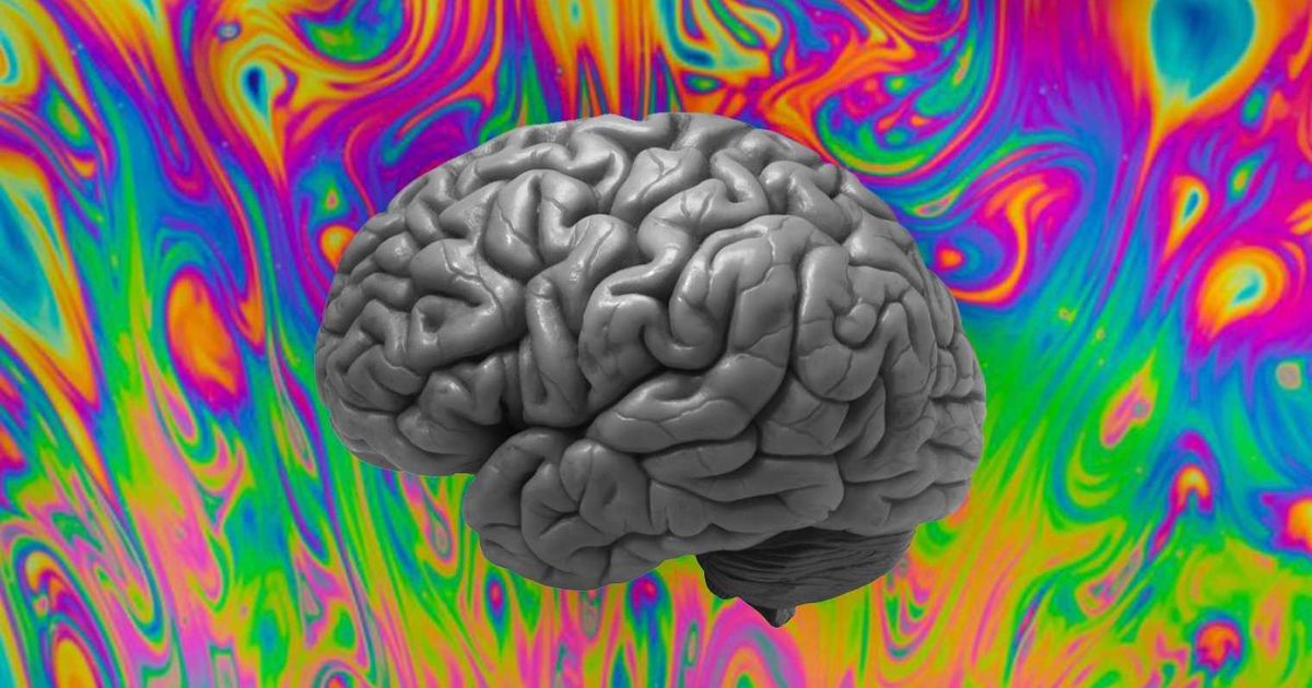 Scientists Explain How Psychedelic Drugs Can Lead People to Lose Their ...