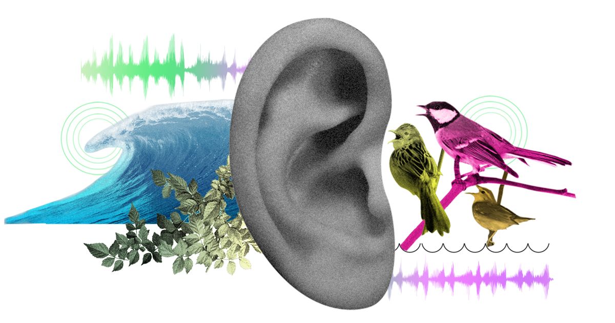 Why Listening to Nature Sounds Has Such a Powerful Effect on Mood | The ...