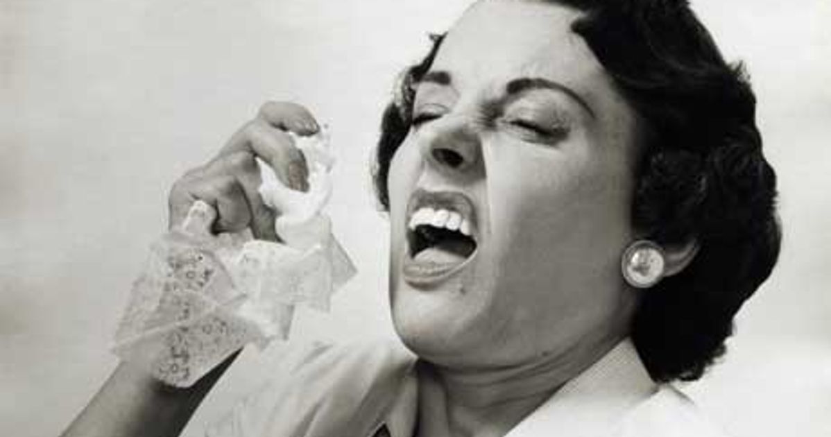 Why Sneezing Is So Weird | The Swaddle