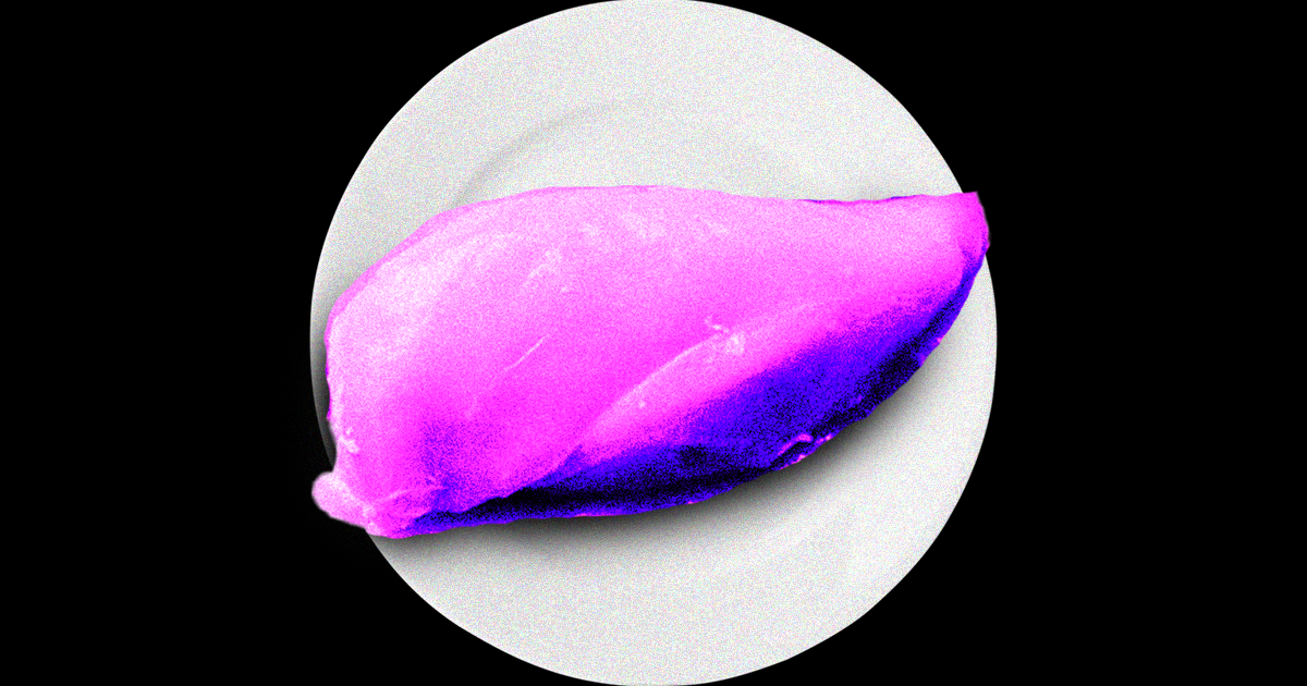 A Startup Could Soon Sell Lab‑Grown Meat in the U.S. | The Swaddle