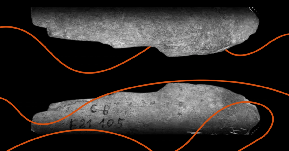 Humans Made Clothes as Early as 120,000 Years Ago Using Bone Tools ...