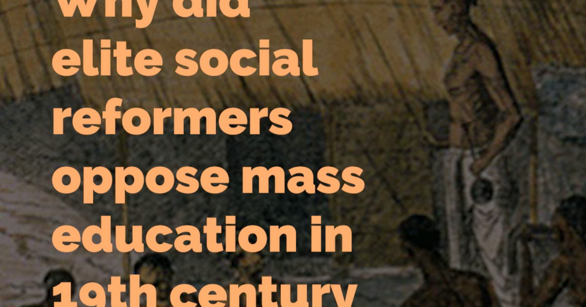Why Did Elite Social Reformers Oppose Mass Education in 19th Century ...