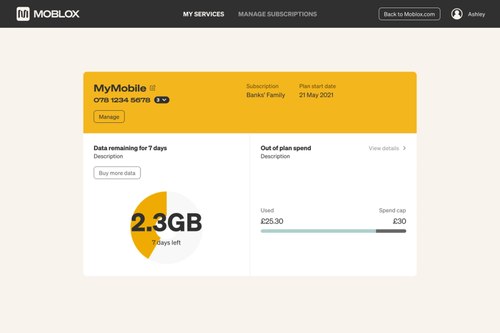 Web App for technology startup Moblox | All Front
