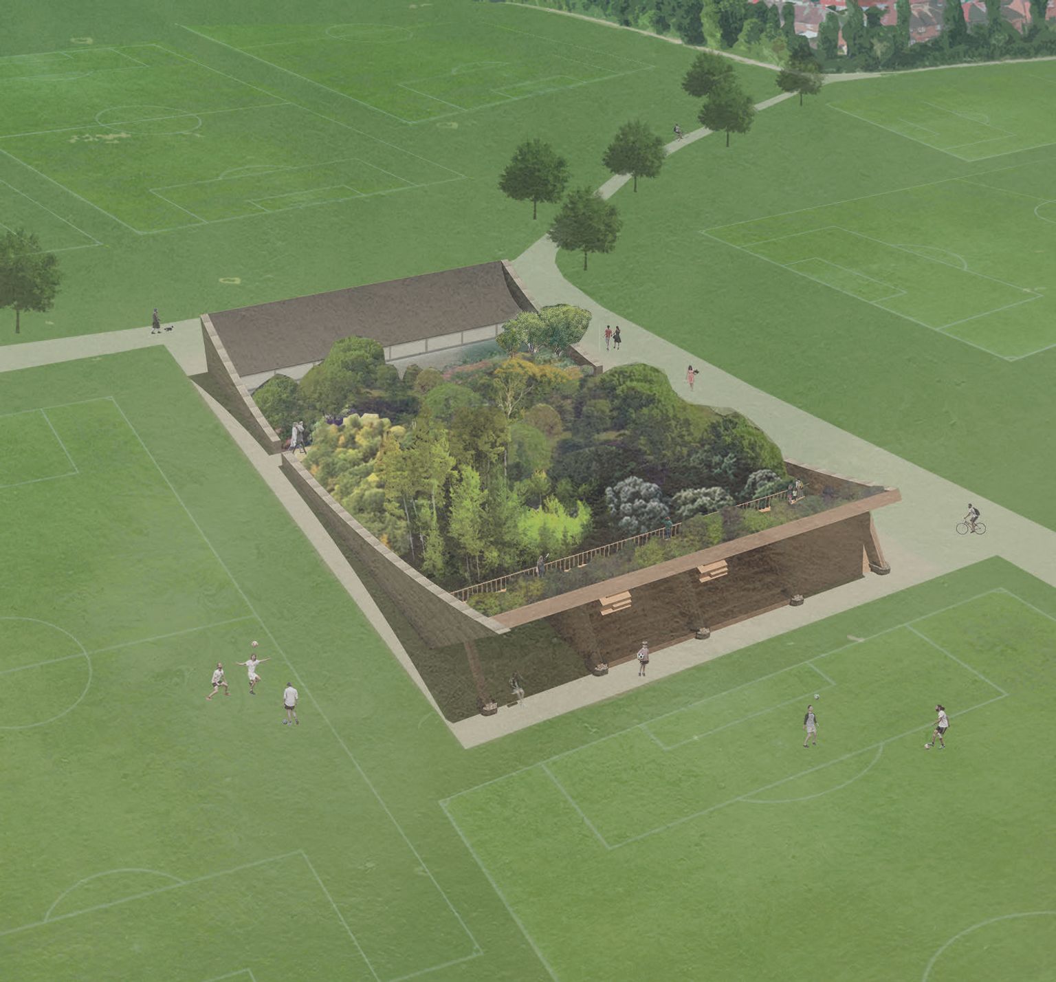 Parti | Architecture Studio | Project | A Stadium for Nature