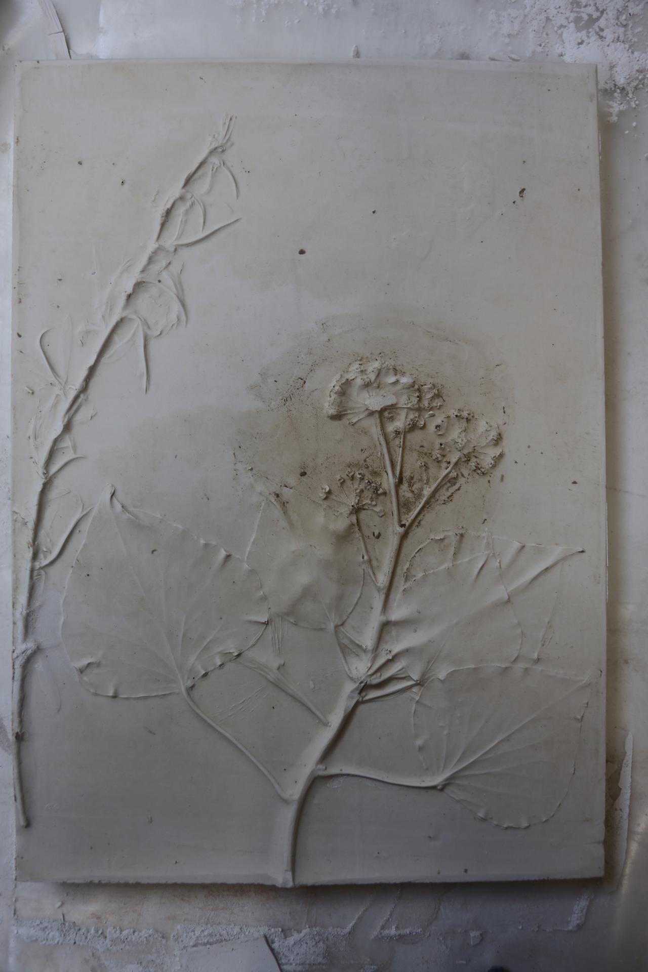 Parti | Architecture Studio | Project | Botanic Tiles