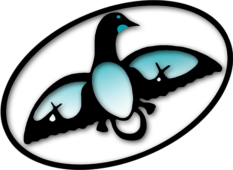 Kasabonika Lake First Nation | Shibogama First Nations Council