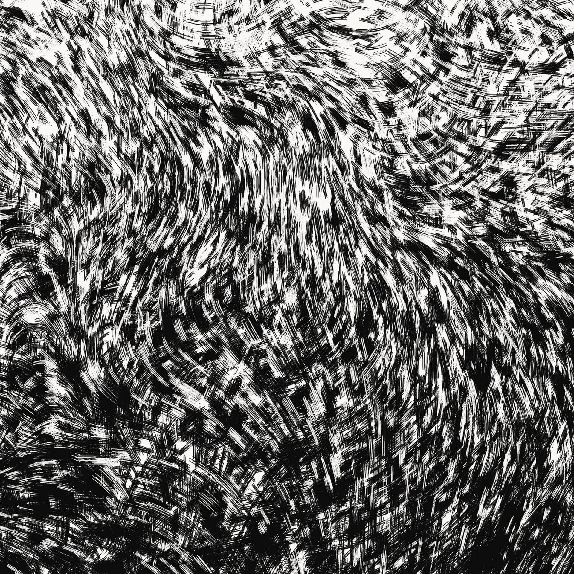 Flow Fields | Tyler Hobbs