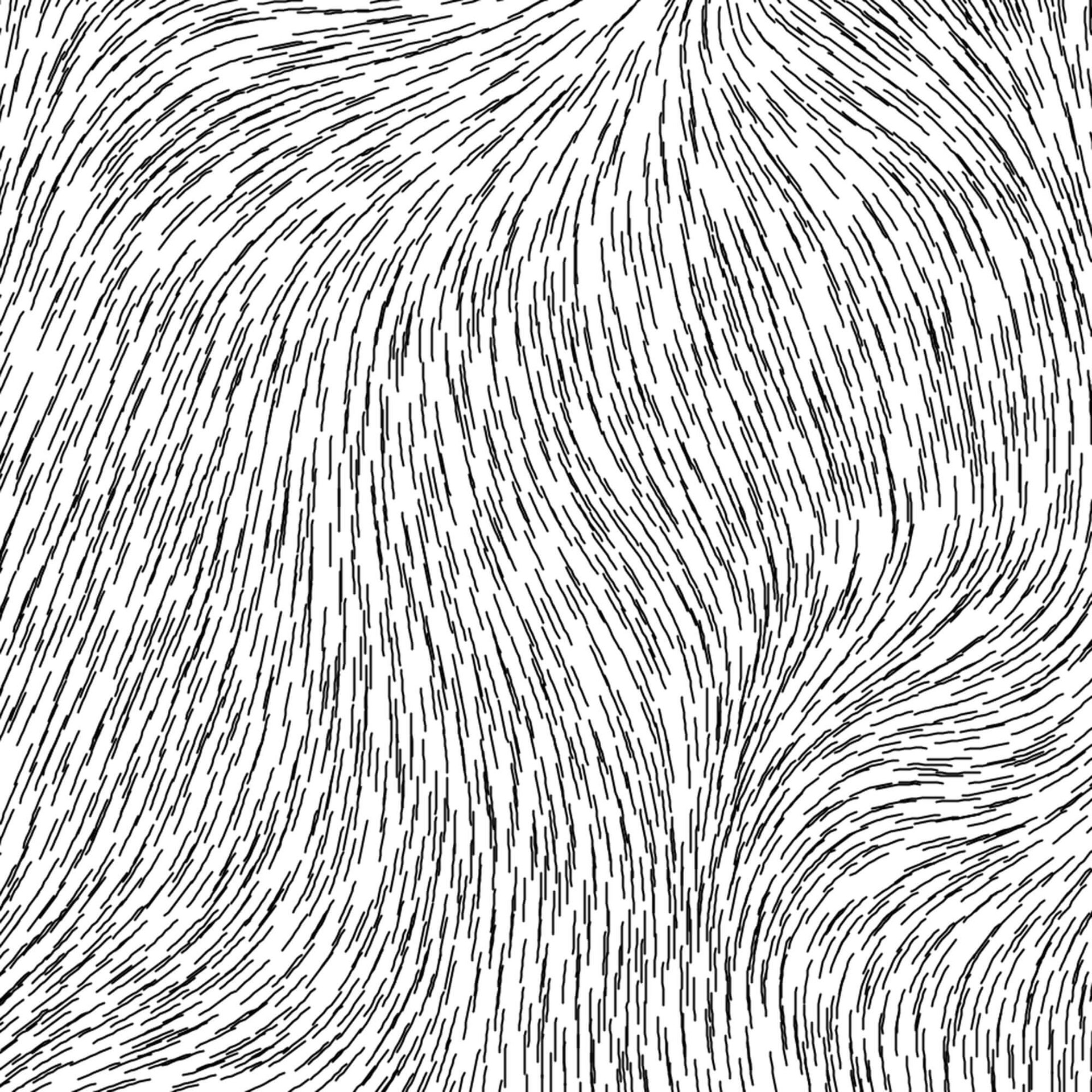 Flow Fields | Tyler Hobbs