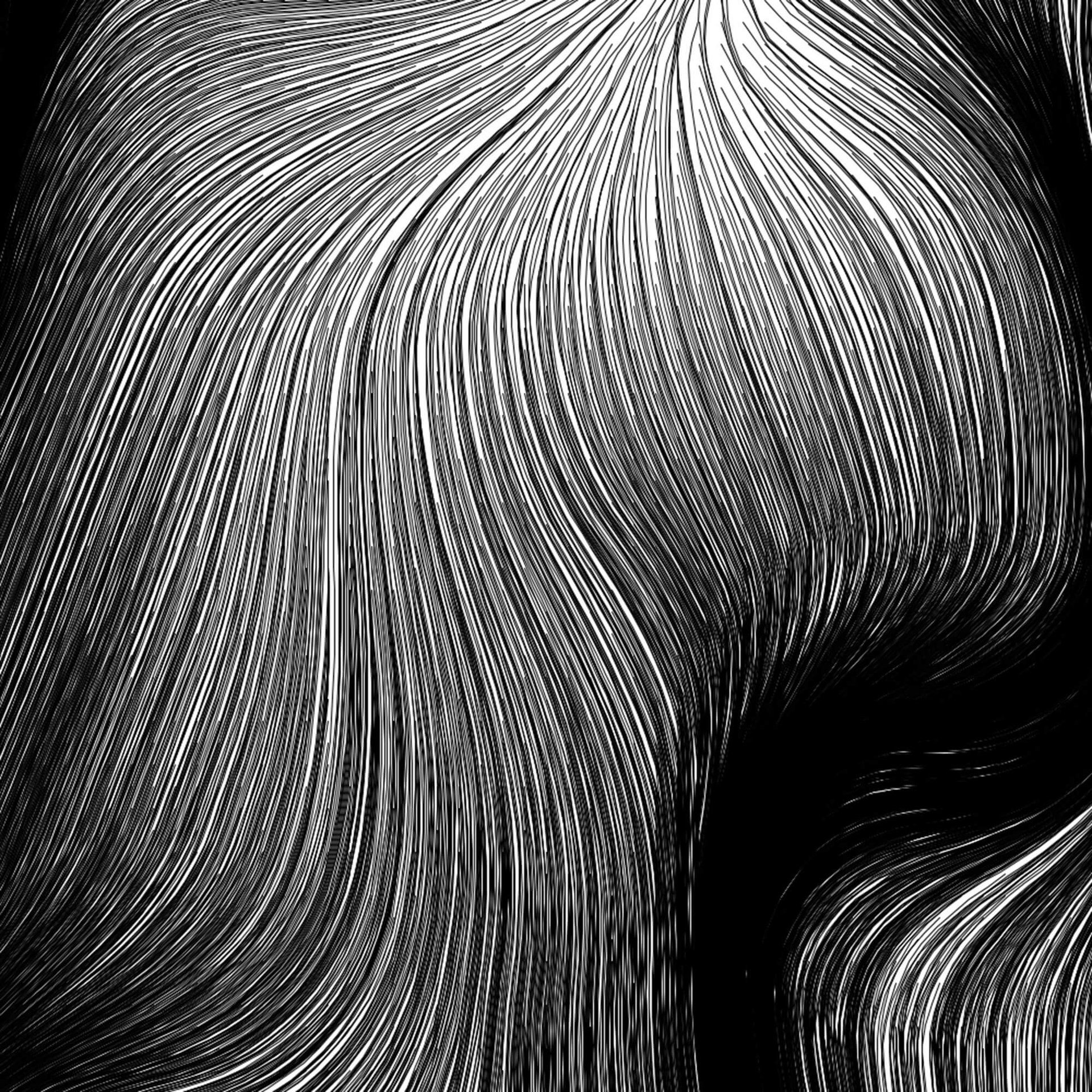 Flow Fields | Tyler Hobbs