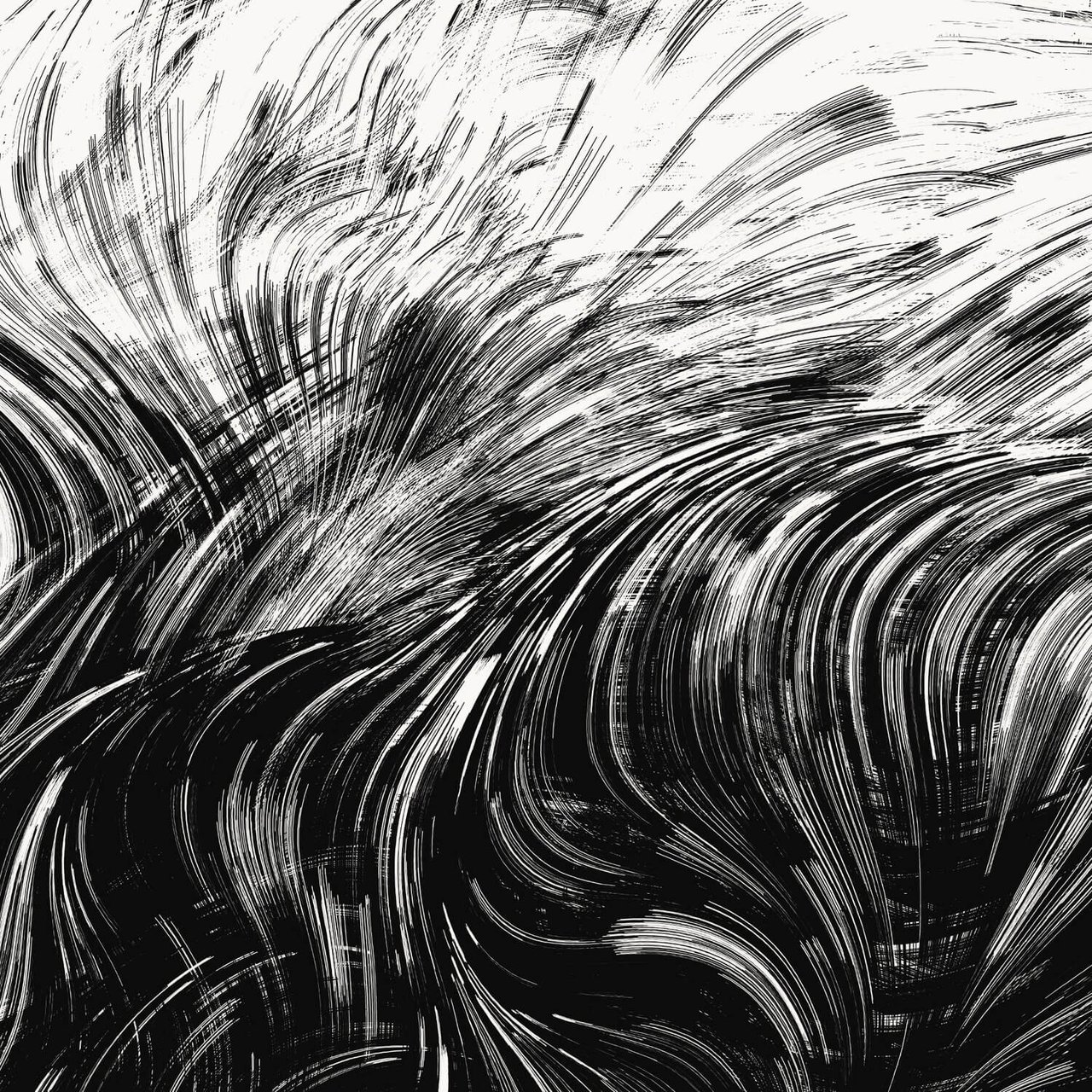 Flow Fields | Tyler Hobbs