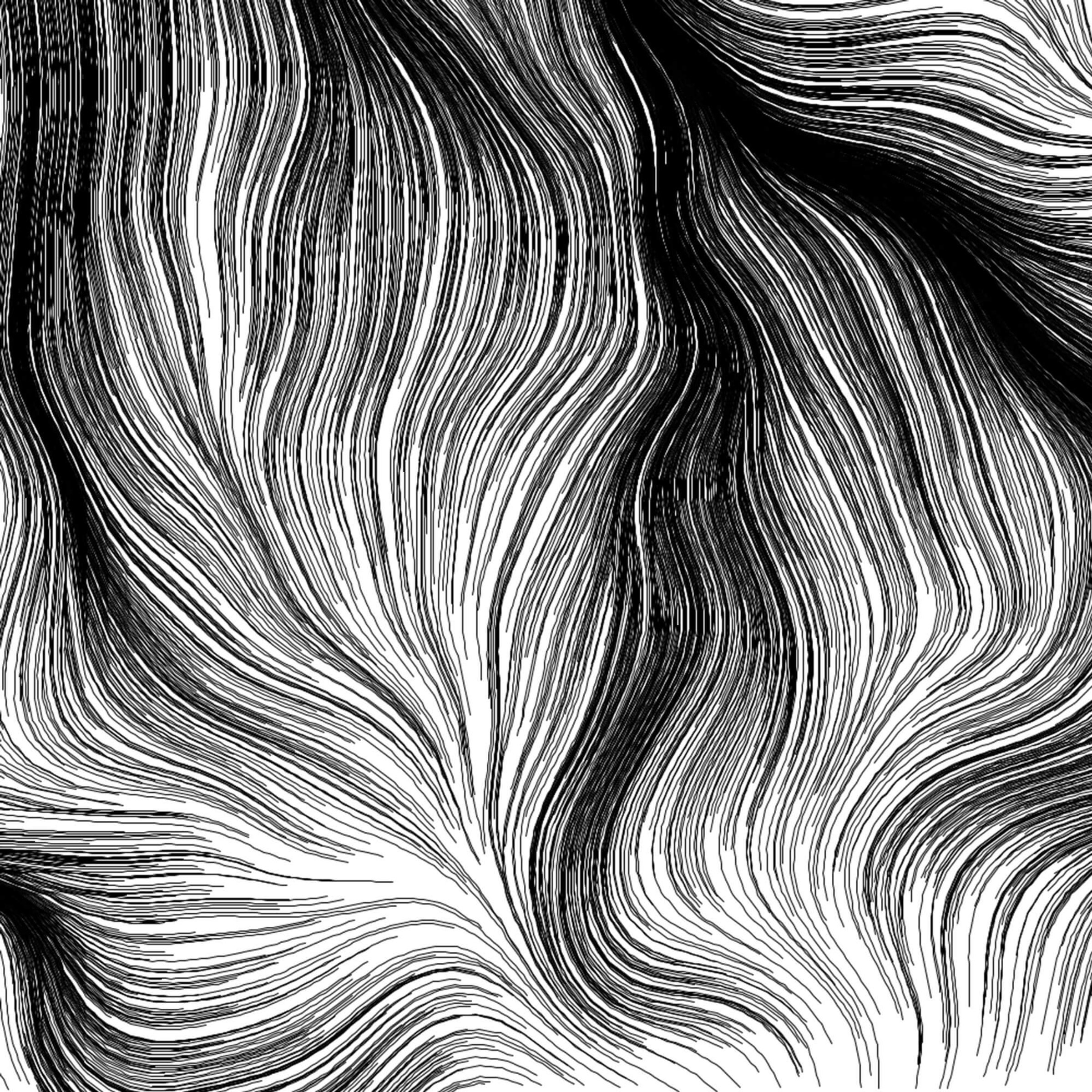 Flow Fields | Tyler Hobbs