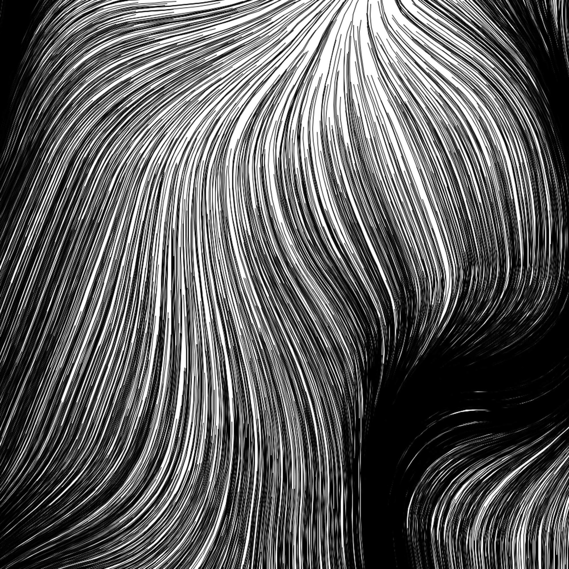 Flow Fields | Tyler Hobbs