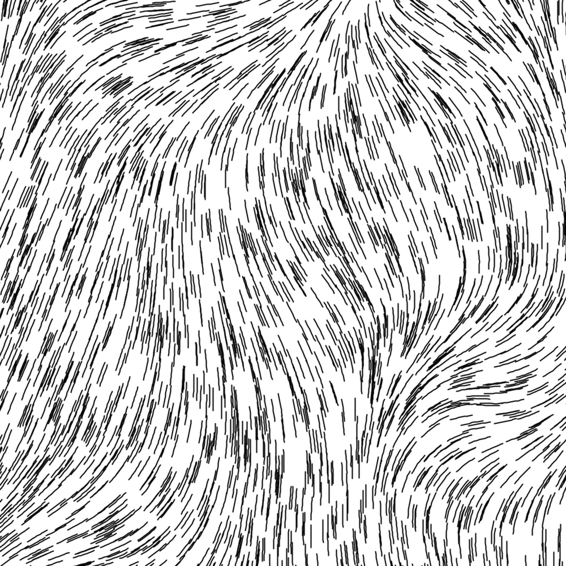 Flow Fields | Tyler Hobbs