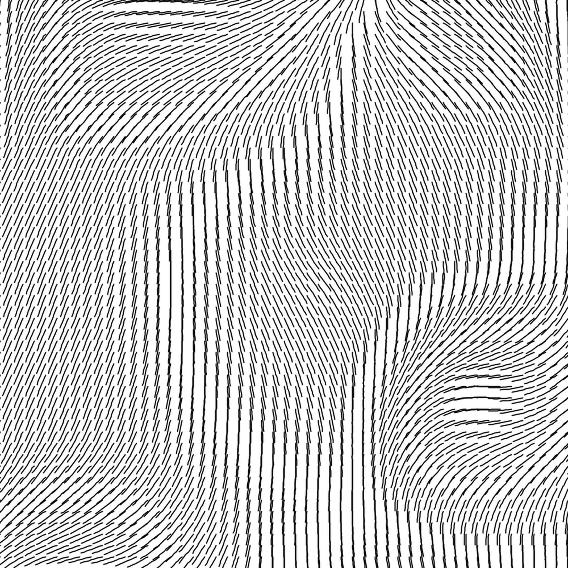 Flow Fields | Tyler Hobbs