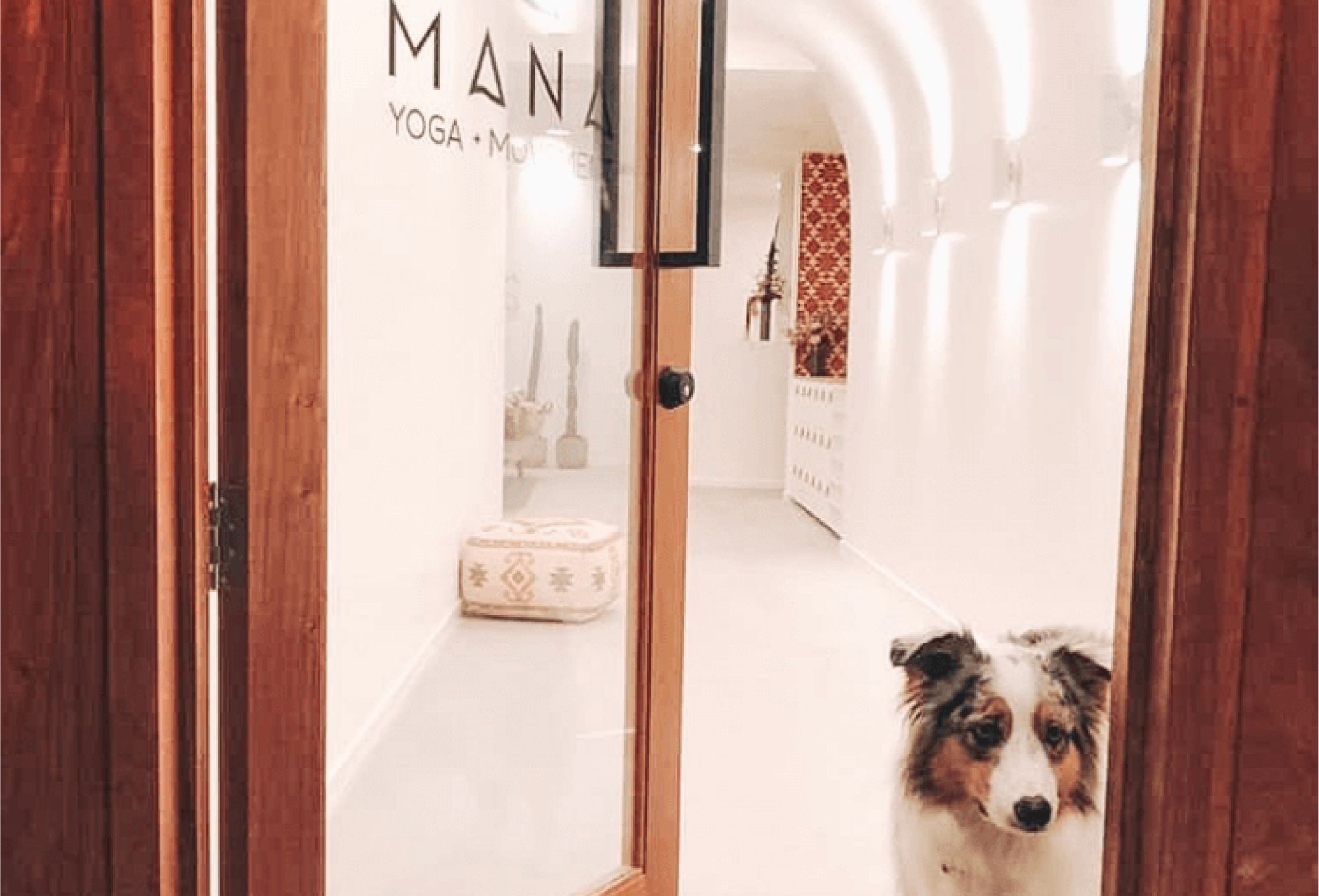 Elements Studio - Aria Property Group