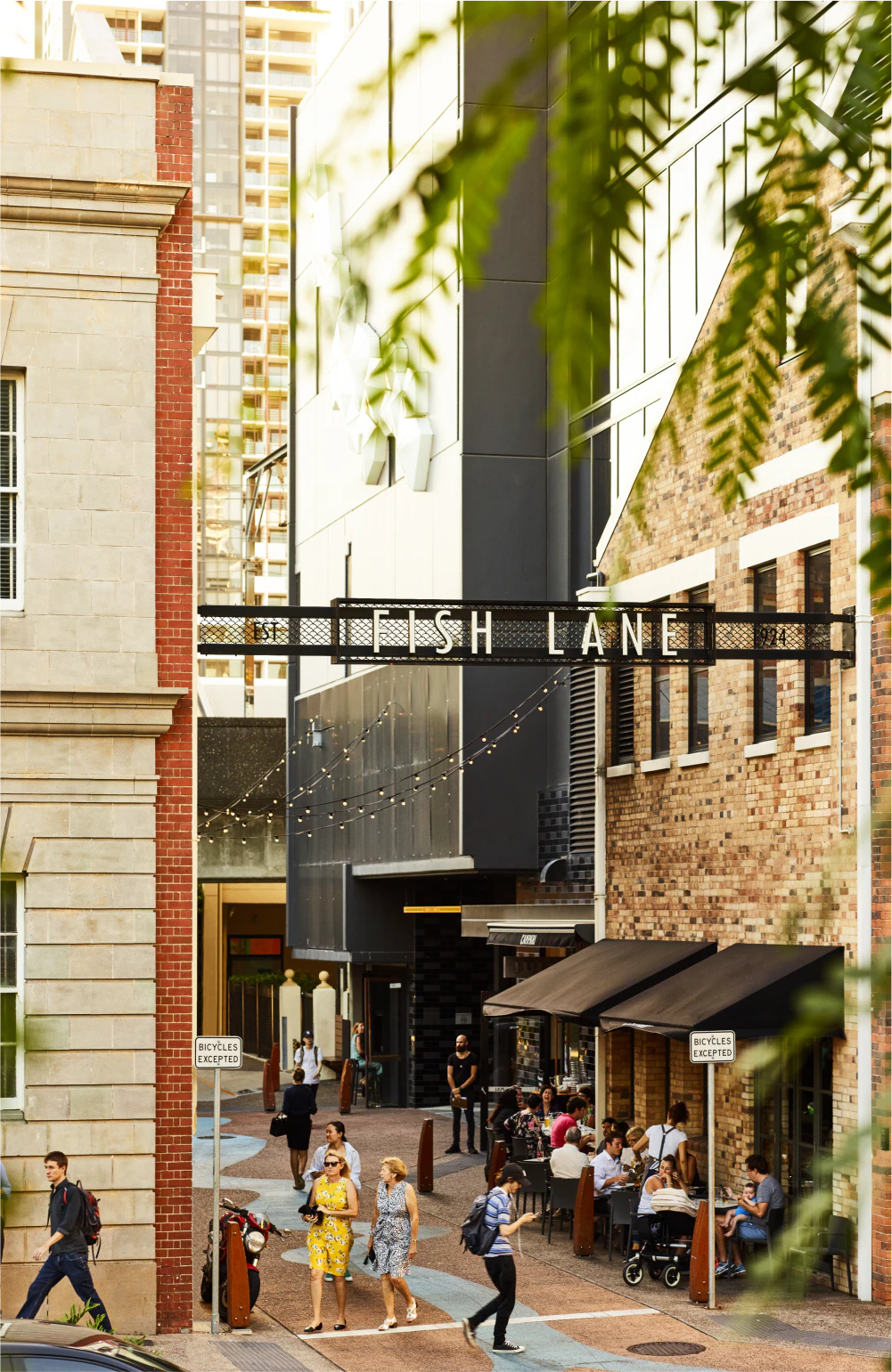 Fish Lane Arts Precinct - Aria Property Group