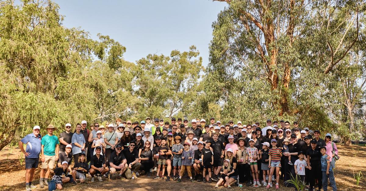 Aria's Annual Tree Planting Day 2024 - Aria Property Group
