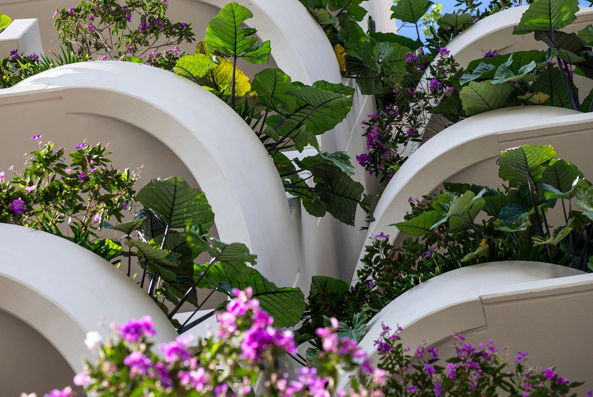 Our Story - Aria Property Group