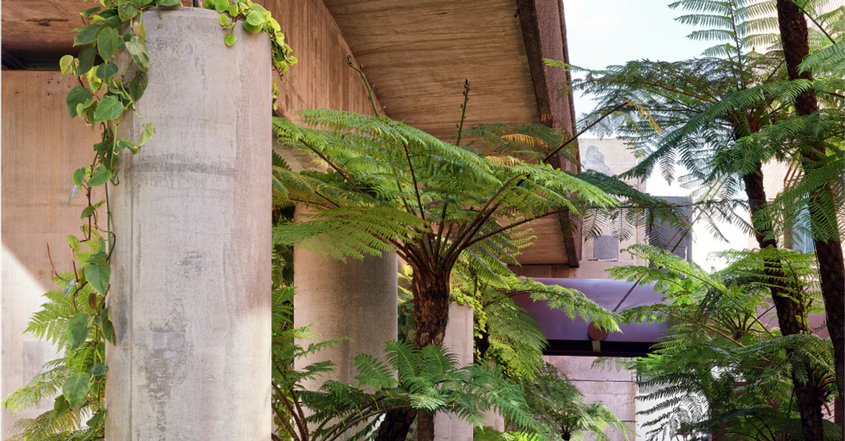 Fish Lane Town Square wins international landscape architecture award ...