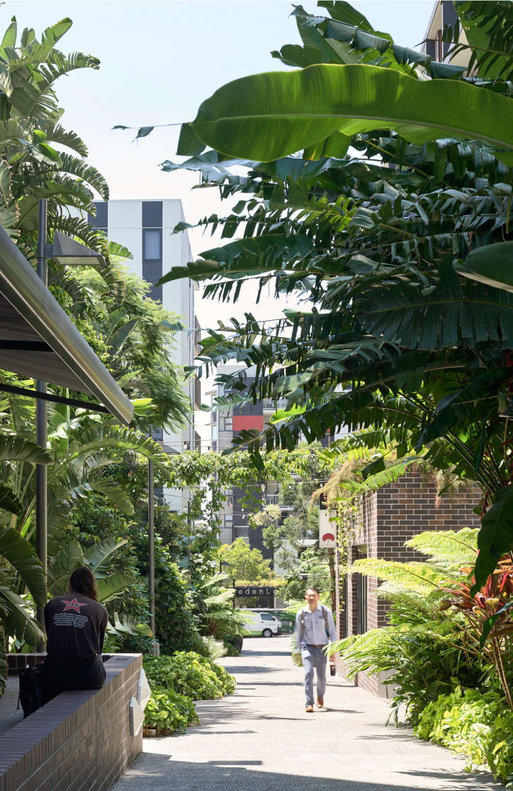 Eden Laneway - Aria Property Group