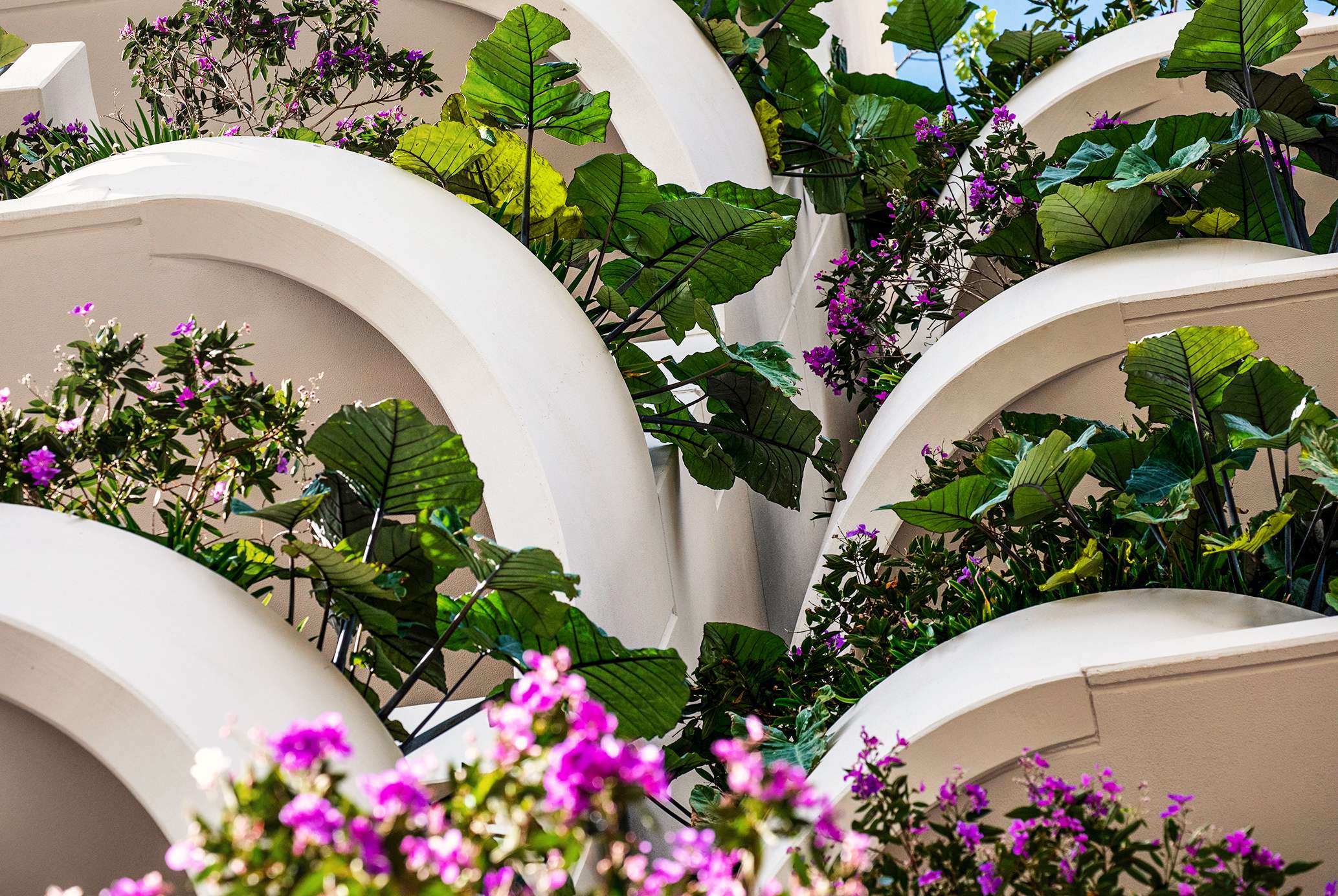 Our Story - Aria Property Group