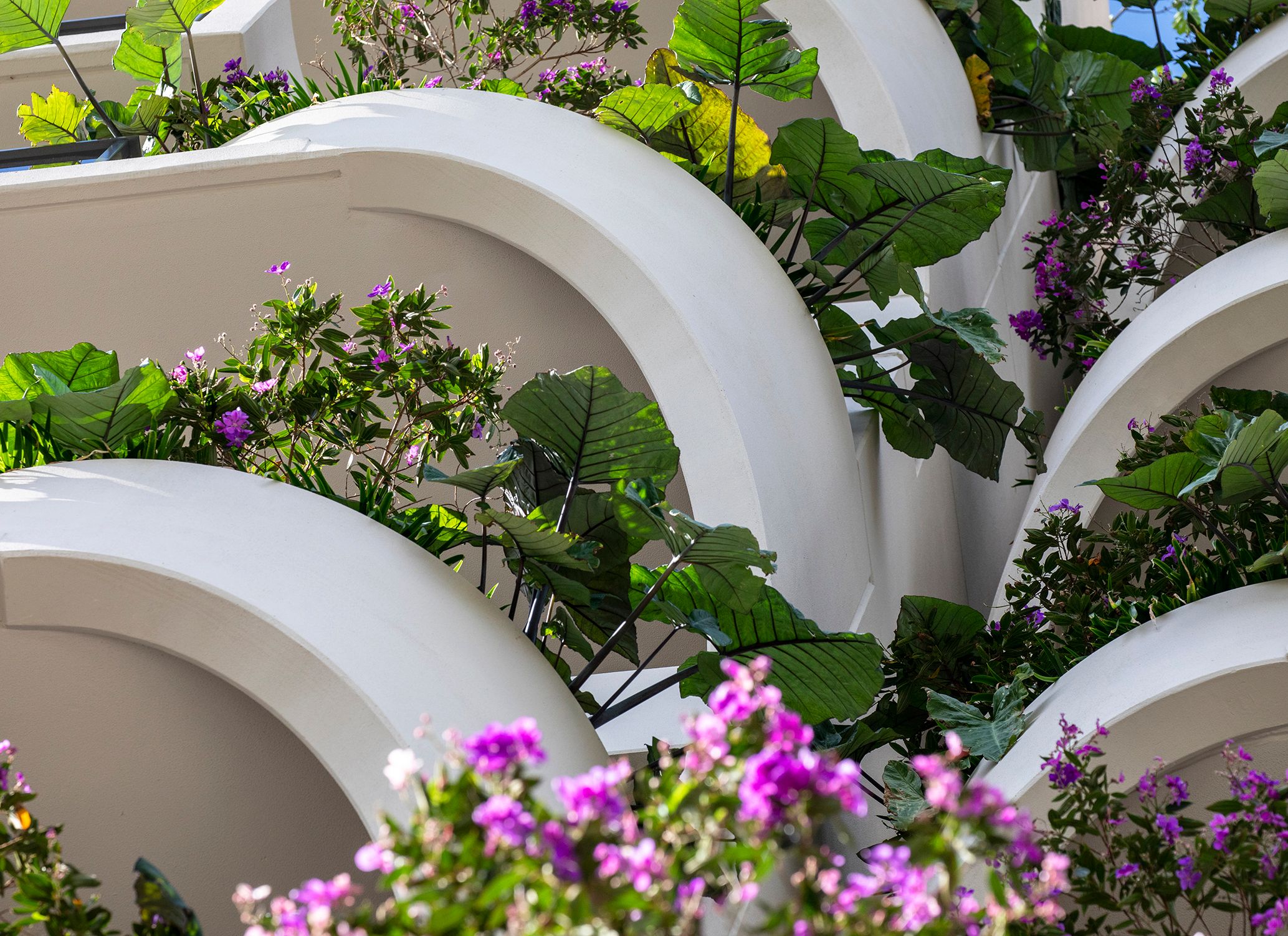 TreeHouse by Aria wins Best High Density Development in Queensland 2022 ...