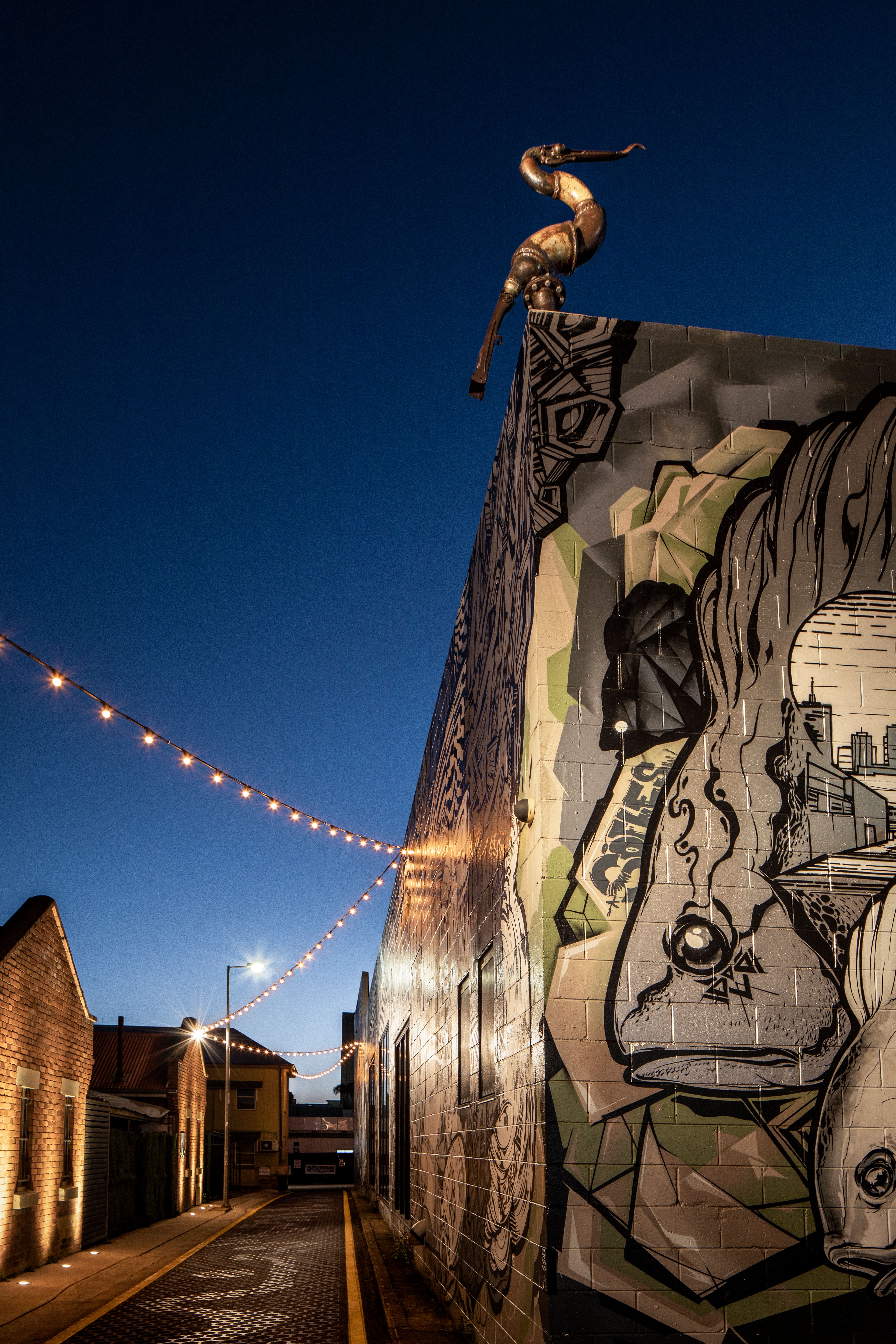 Fish Lane Arts Precinct - Aria Property Group