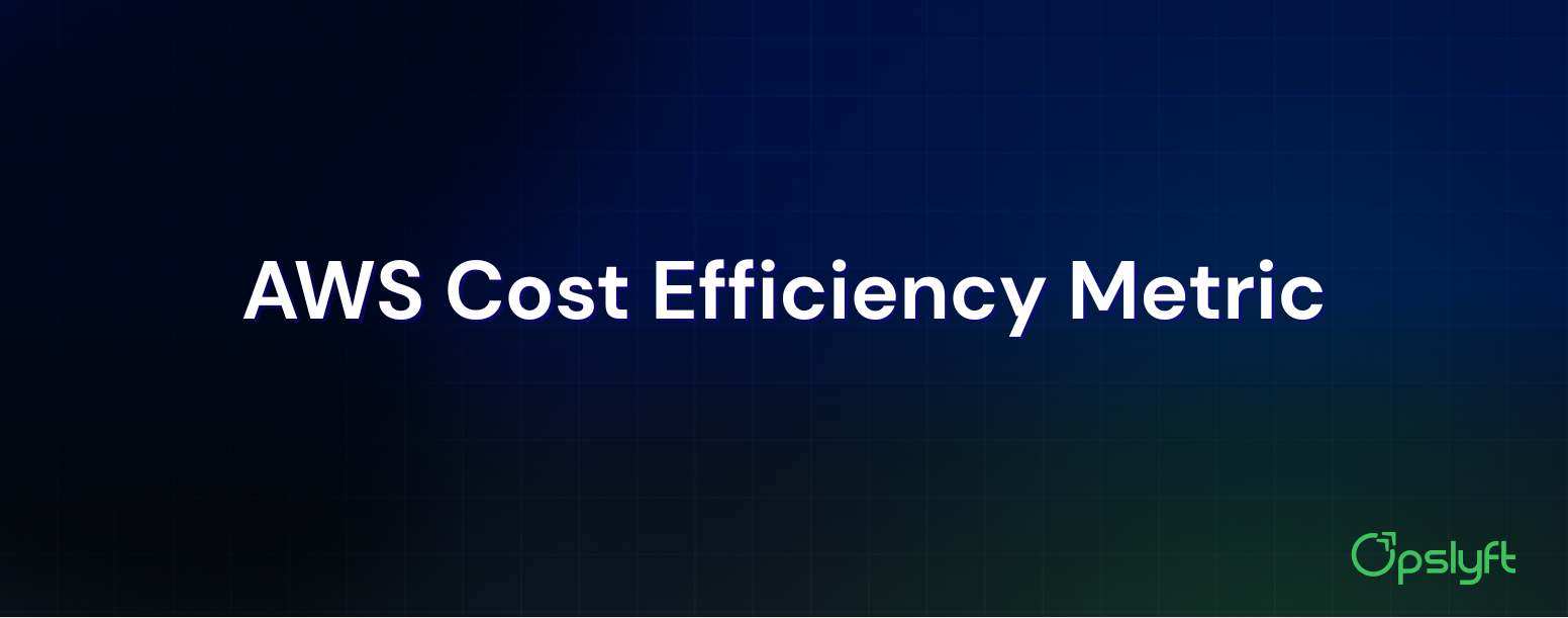 AWS Cost Efficiency Metric: A Unified Approach to Cloud Cost Optimization