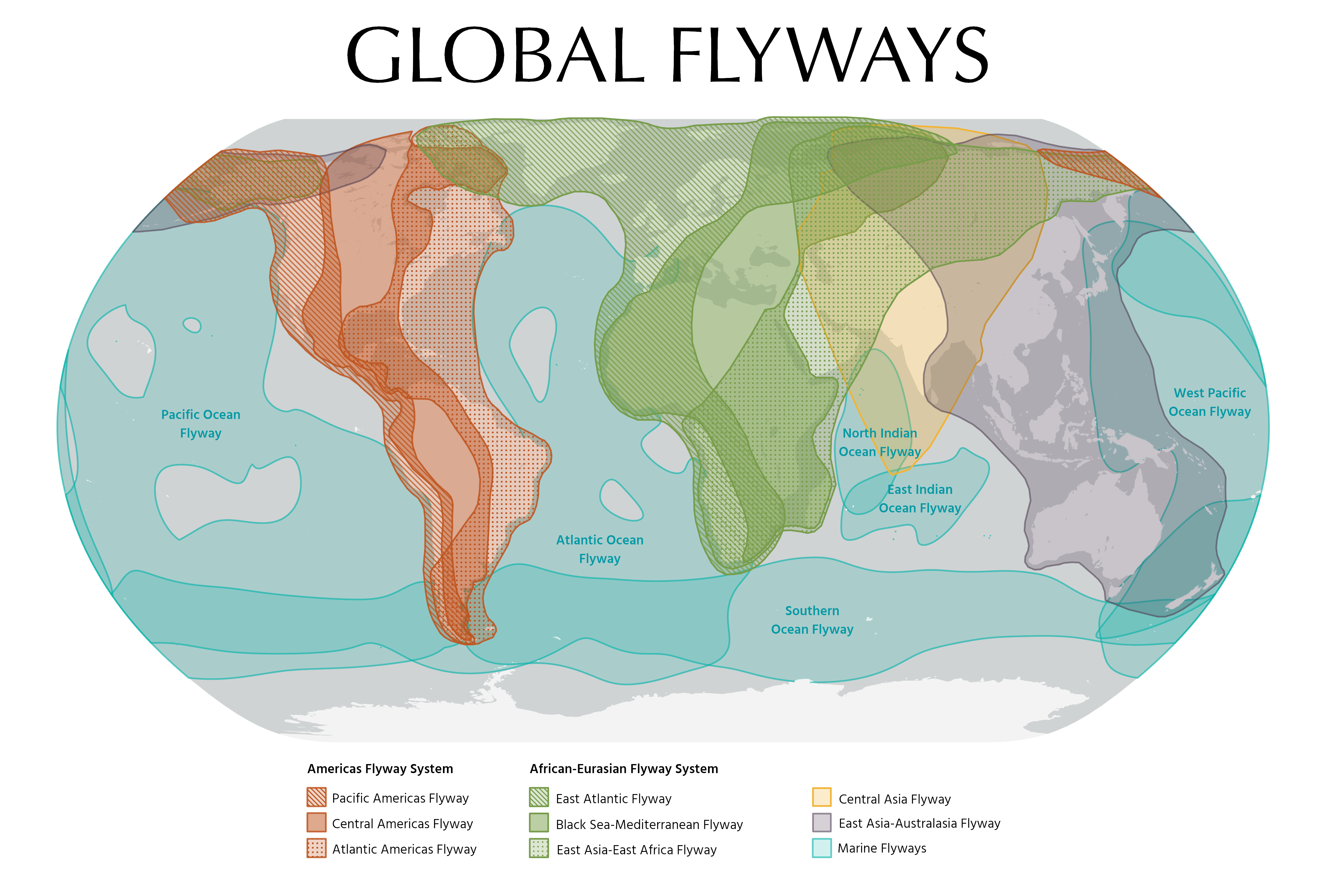 Flyways | BirdLife DataZone