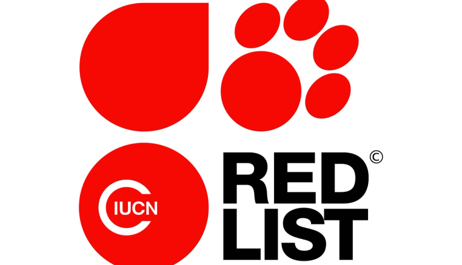 The IUCN Red List | BirdLife DataZone