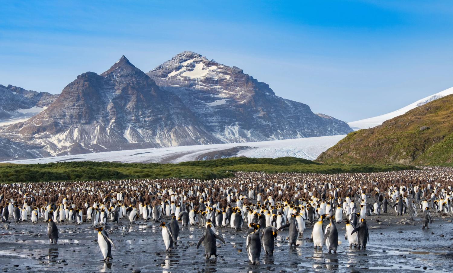 Over 13,600 Important Bird and Biodiversity Areas have been identified ...