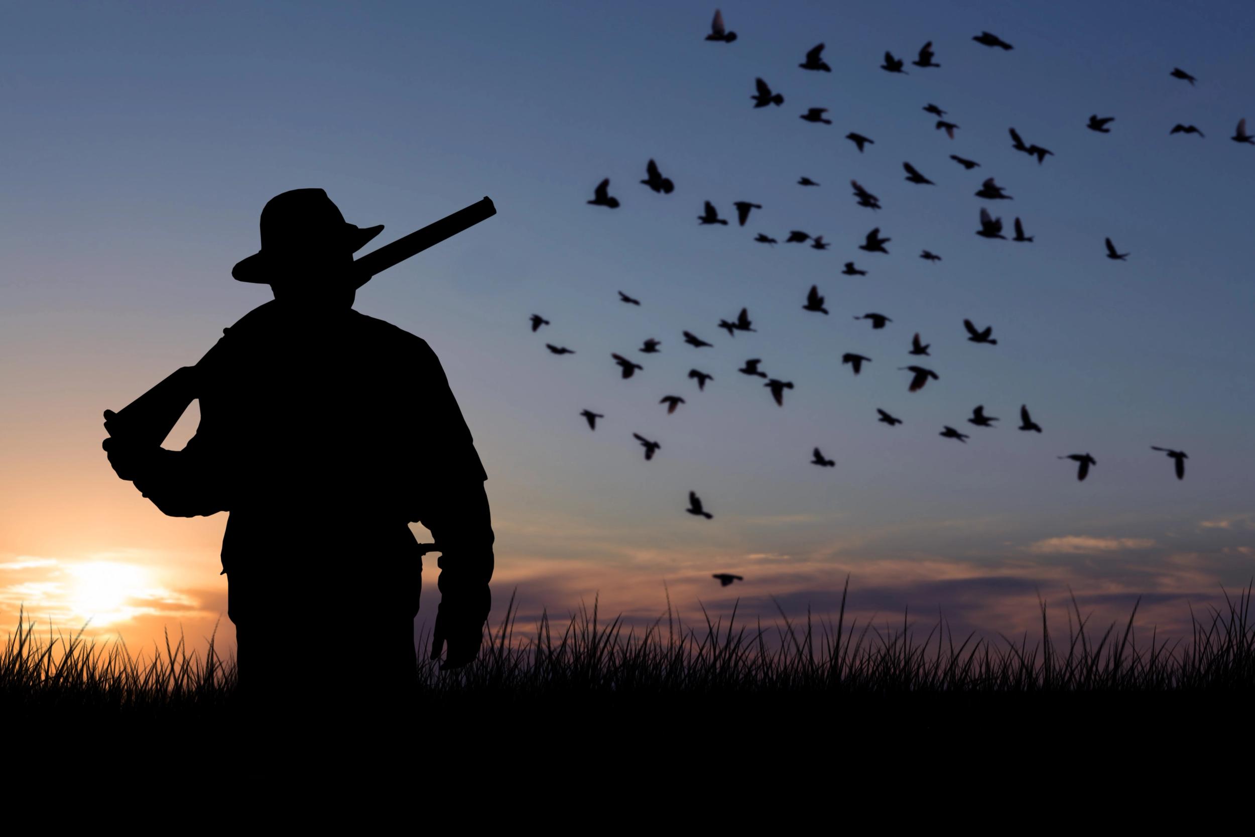 Mapping of global threats using the IUCN Red List reveals hunting and ...
