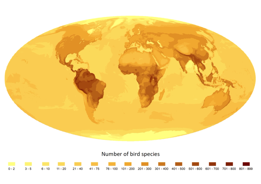 Birds are found worldwide in all countries and major habitats, with ...