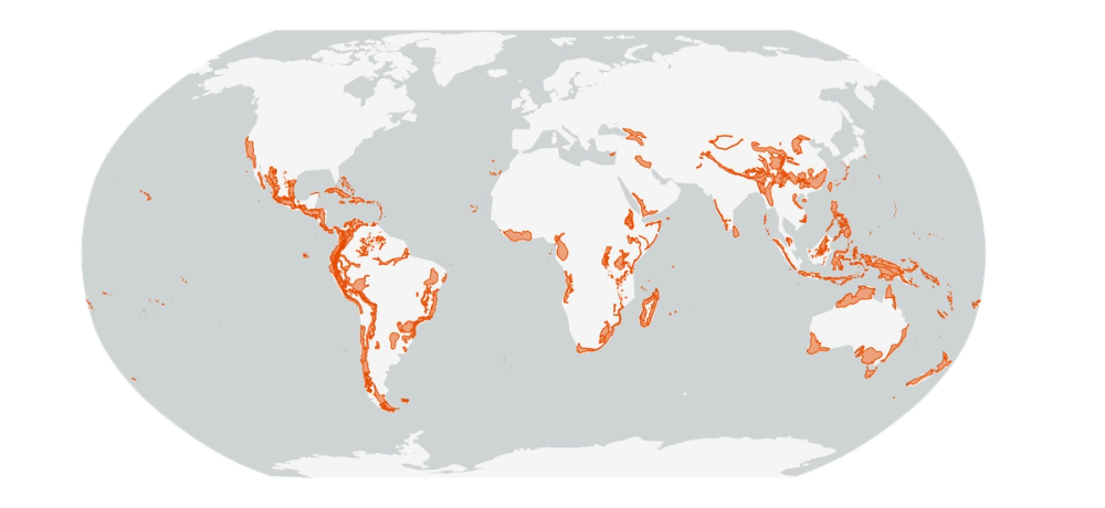 Many bird species have very small ranges and occur together in Endemic ...