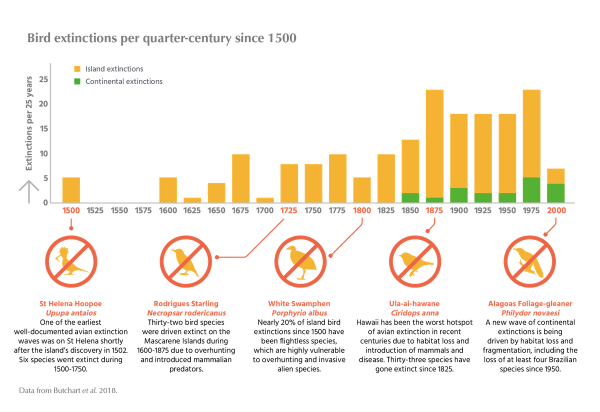 Many bird species have already gone extinct | BirdLife DataZone