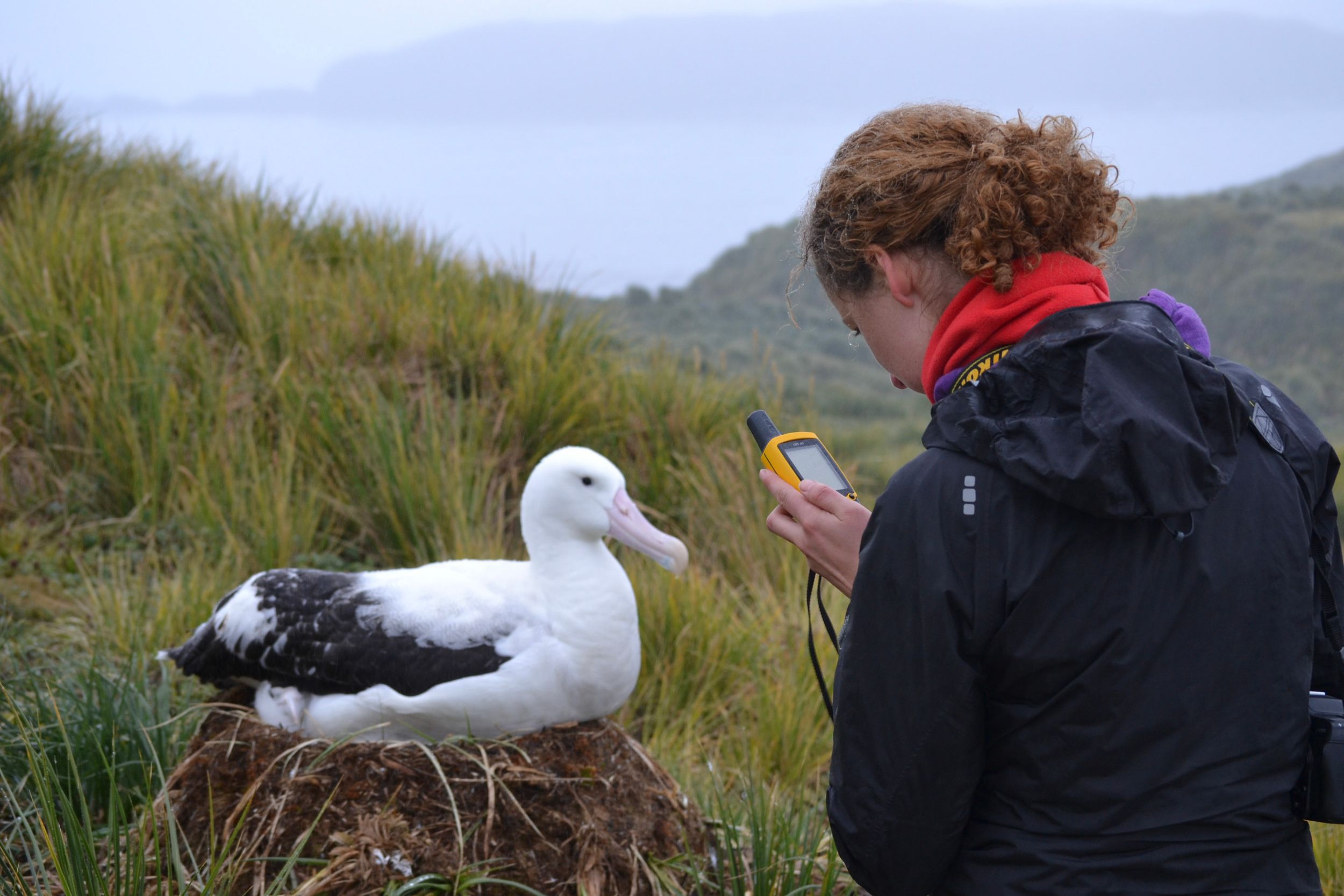 BirdLife DataZone | BirdLife DataZone