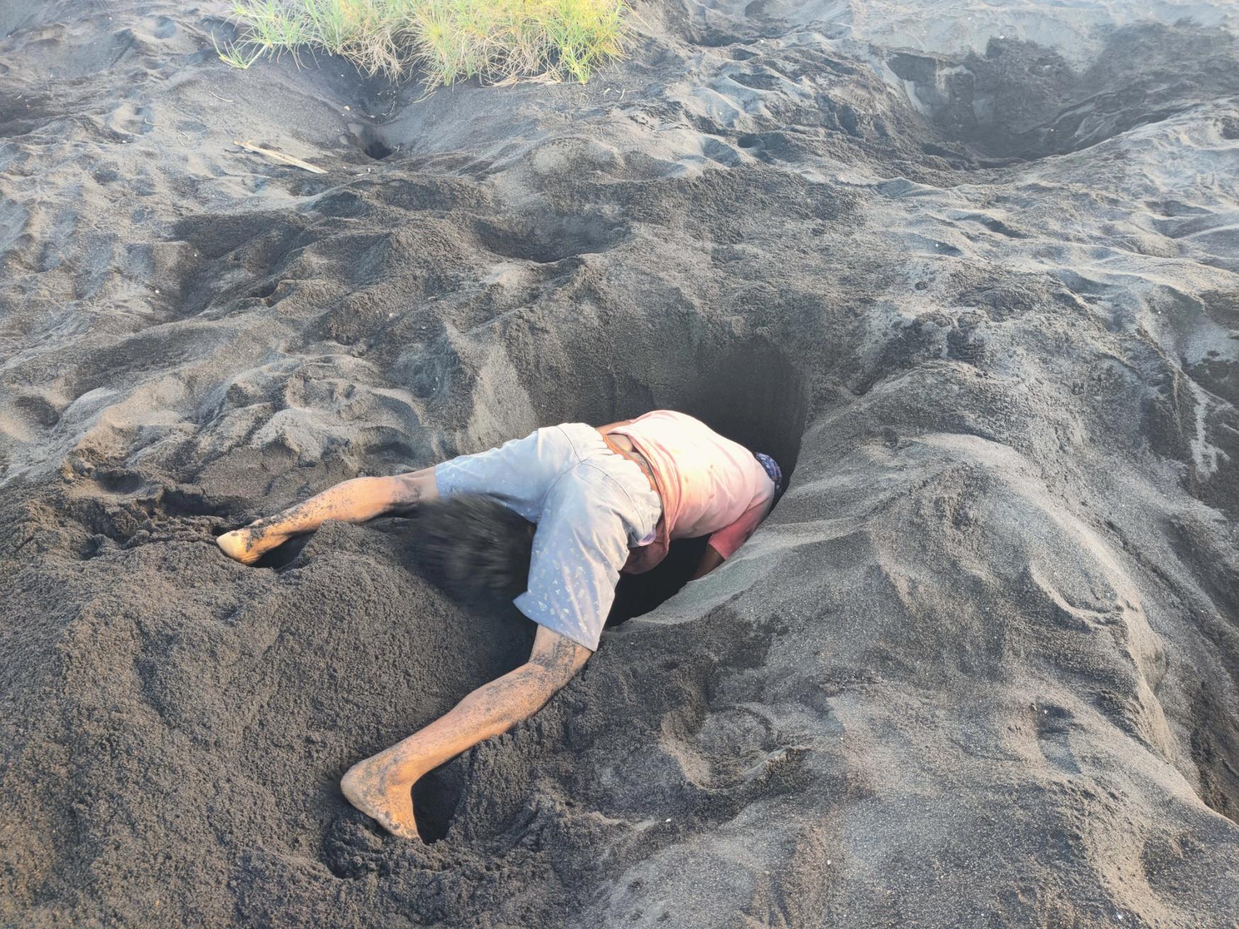 Megapode eggs are an important source of food to many Indo-Pacific ...