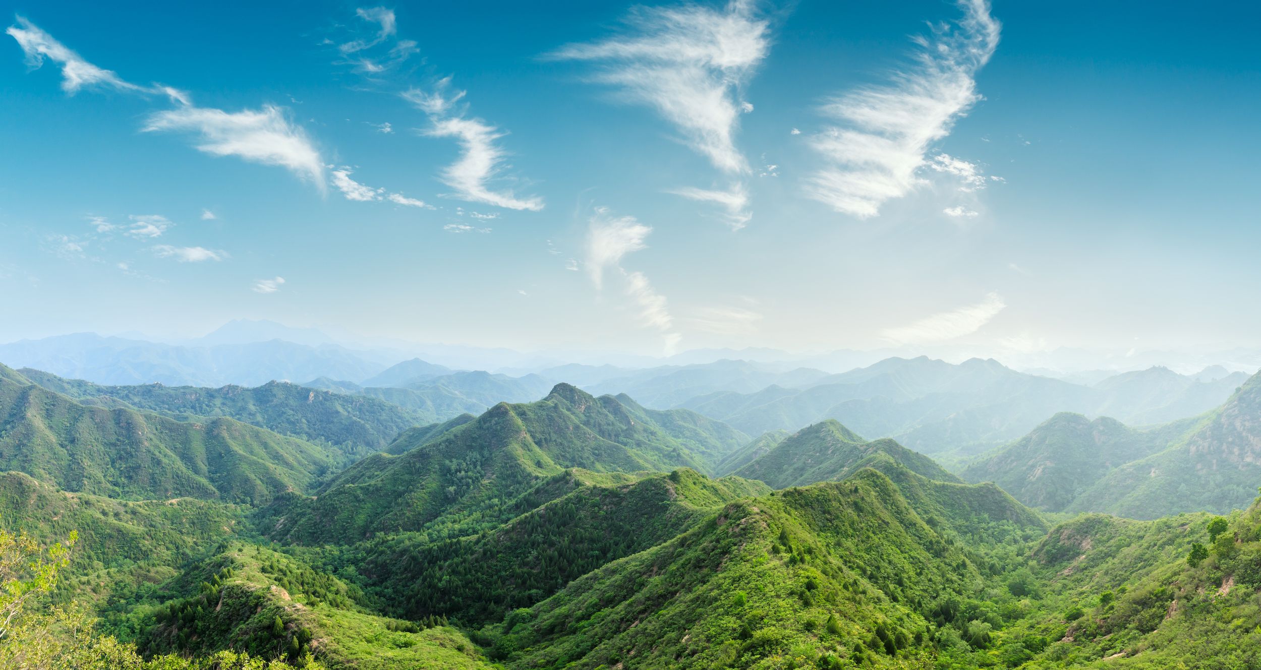 Insights | BirdLife DataZone