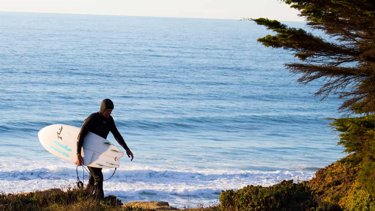 Surfboard Stickers & Surf Stickers | Waterproof Vinyl