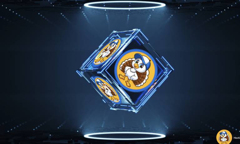 Hectic Turkey: Pioneering the 'NexGen' Meme Token with Real Utility ...