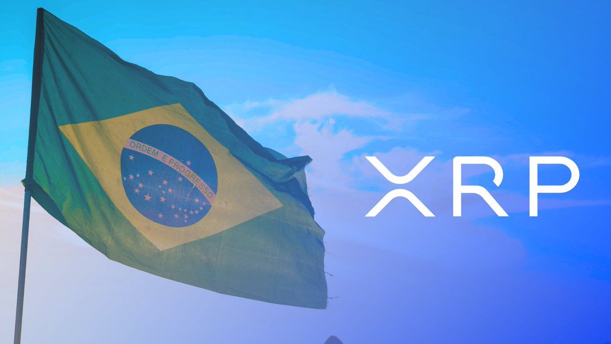Hashdex Launches XRPH11, World's First Spot XRP ETF, on Brazil's B3 ...