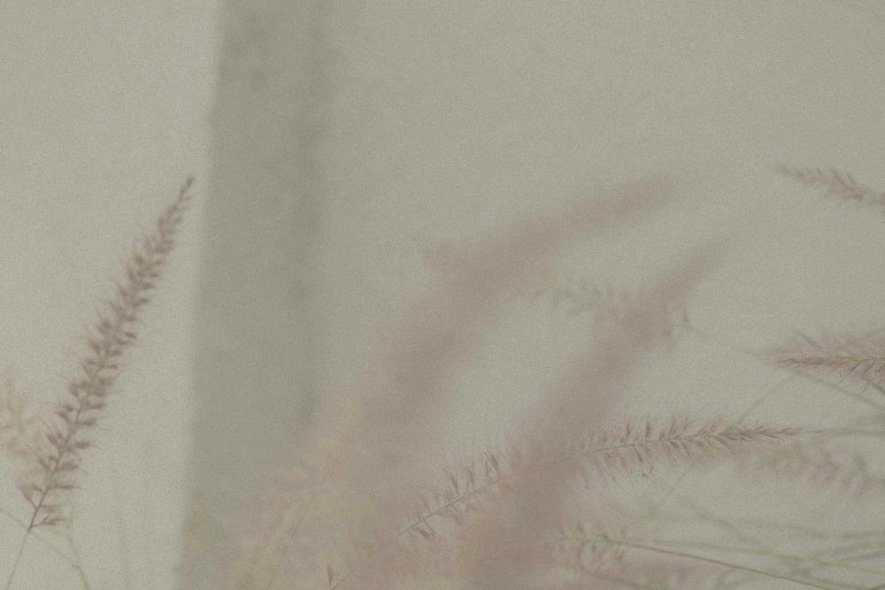 The Agnes Jersey City NJ | Thoughtfully Designed Rentals