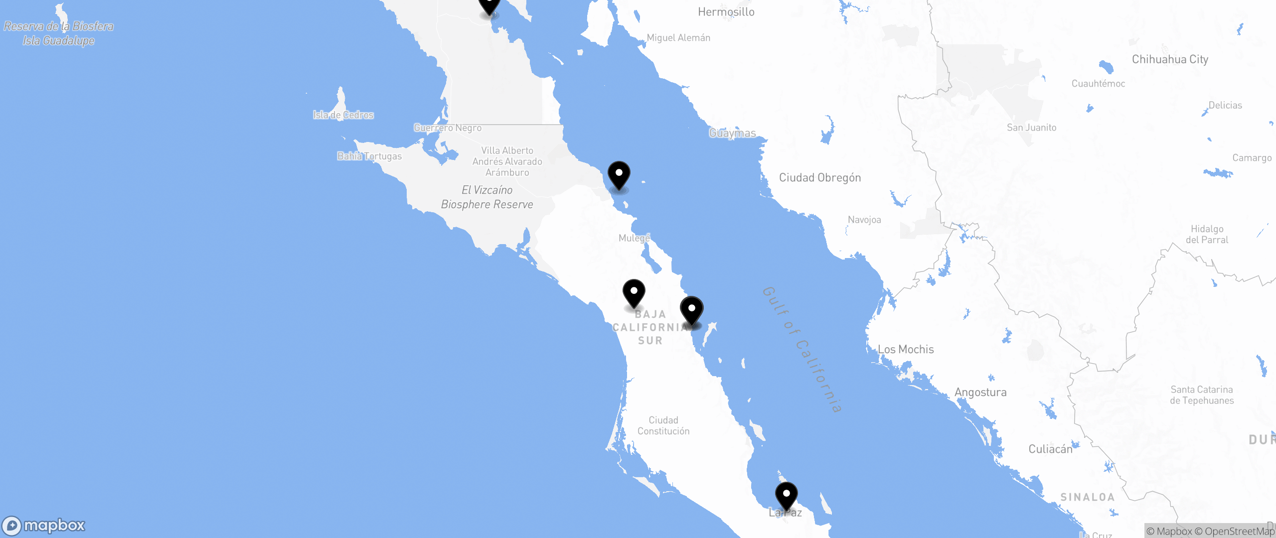 Baja California Discovery: Exploring Mexico’s Gulf of California