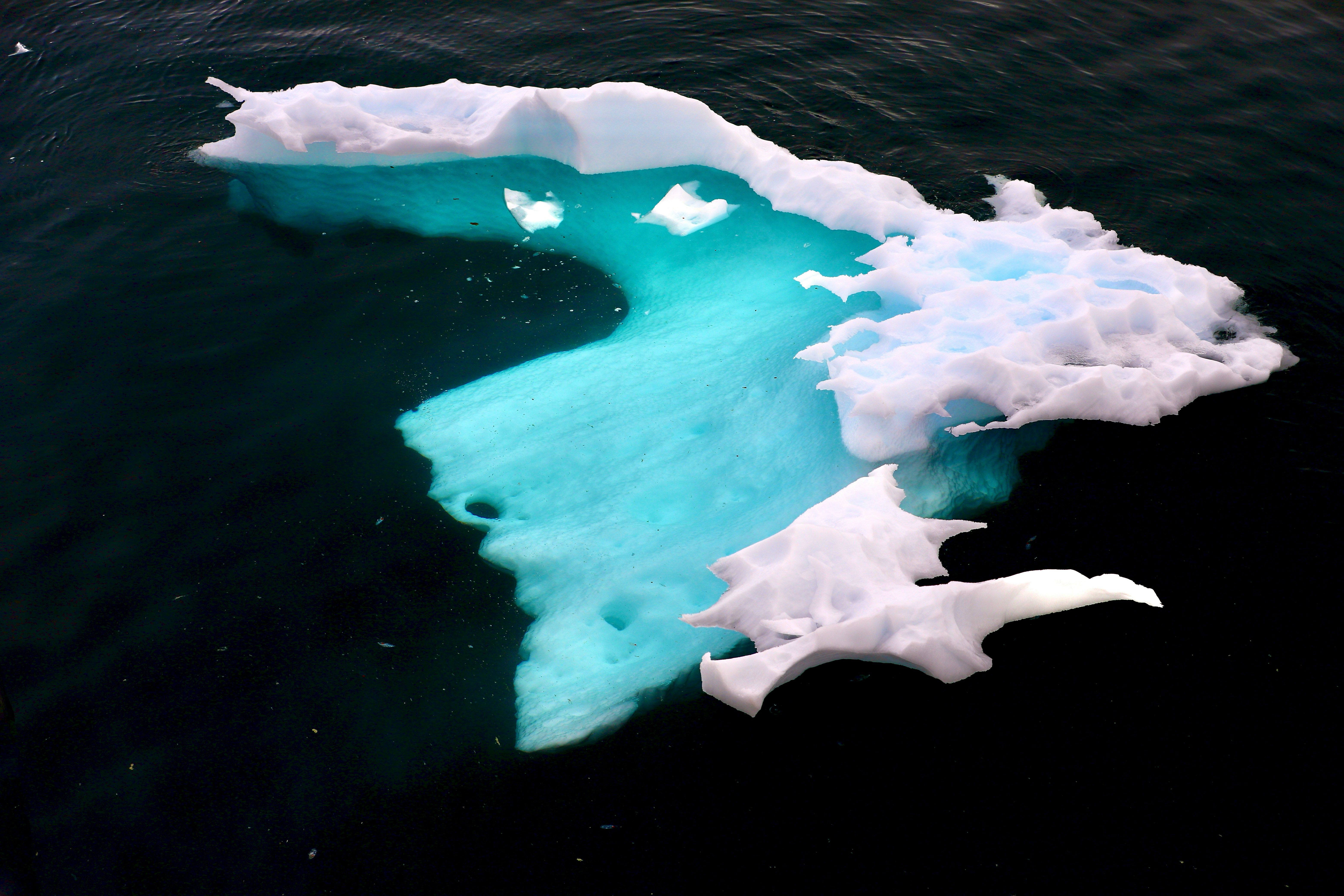 Best Antarctica Cruise Ships 2026: Ranked by Expedition Specialists ...
