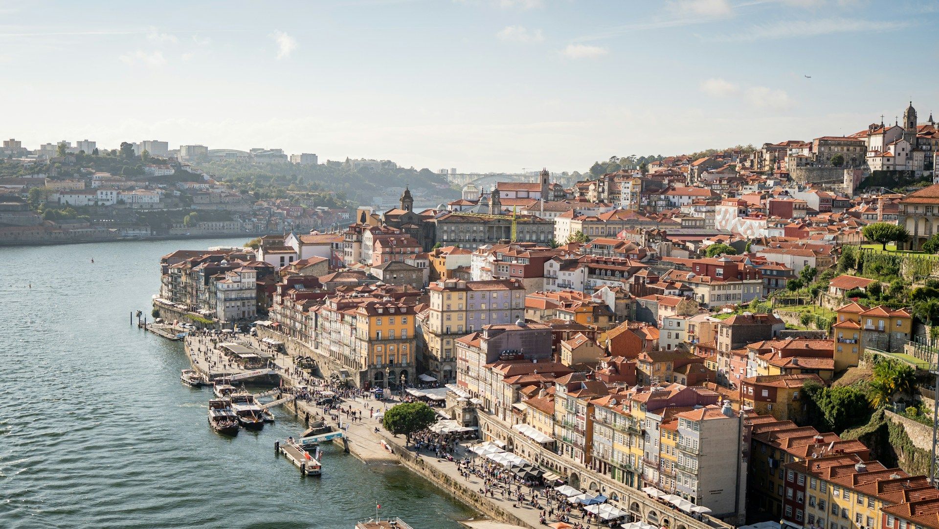 Douro Valley River Cruise Guide 2026: Wine, Scenery & Best Operators ...