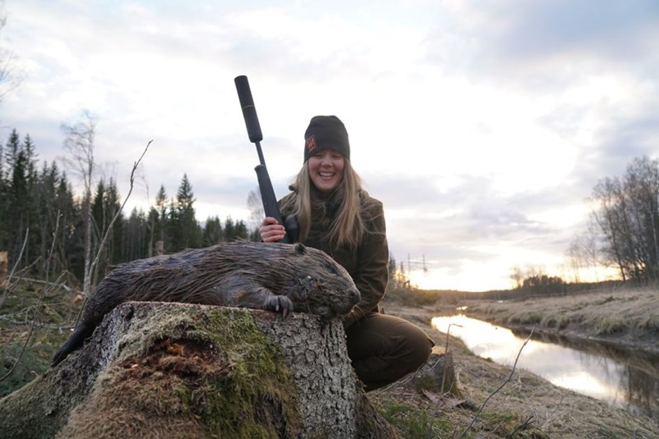 How to Skin a Beaver: Complete Step-by-Step Guide | Norma Precision