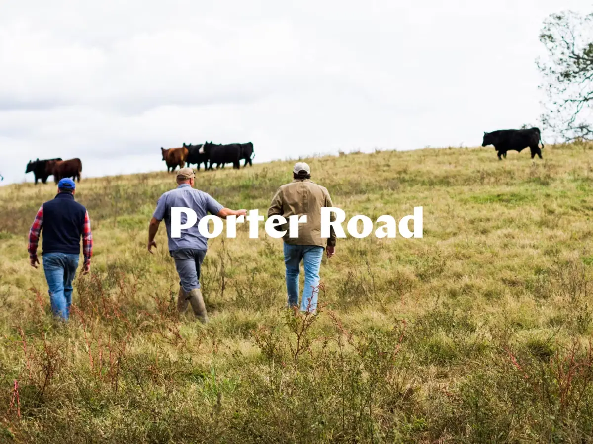 Porter Road | Red Antler