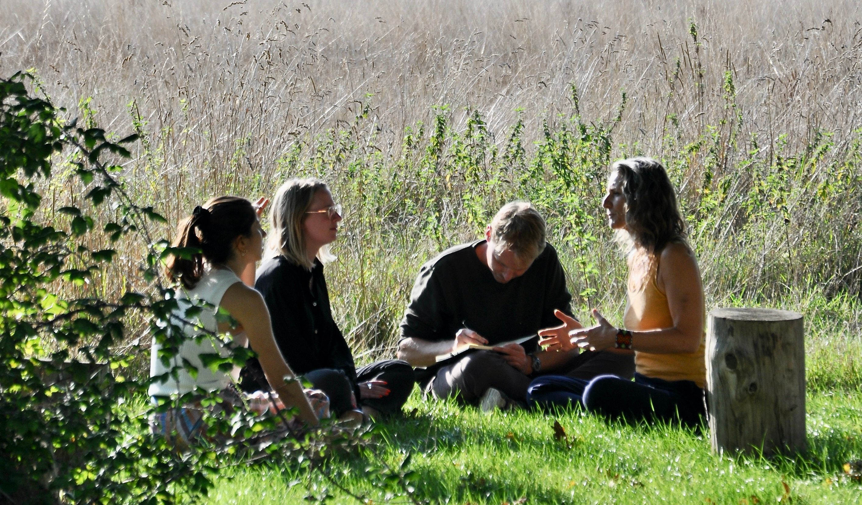 Managing conflict in the workplace: 6 communication strategies to ...