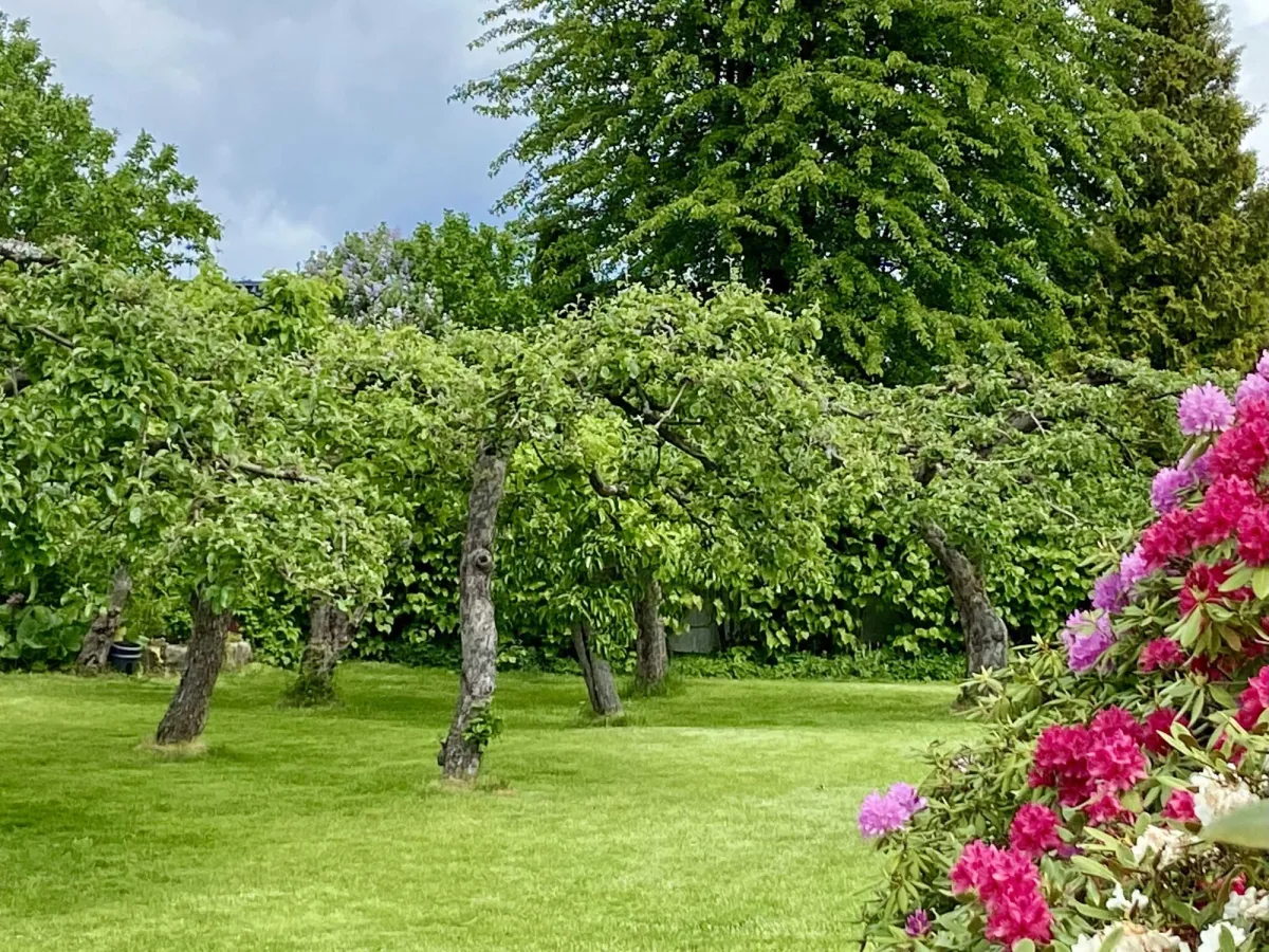 Det angår også deg | Vinduet.no